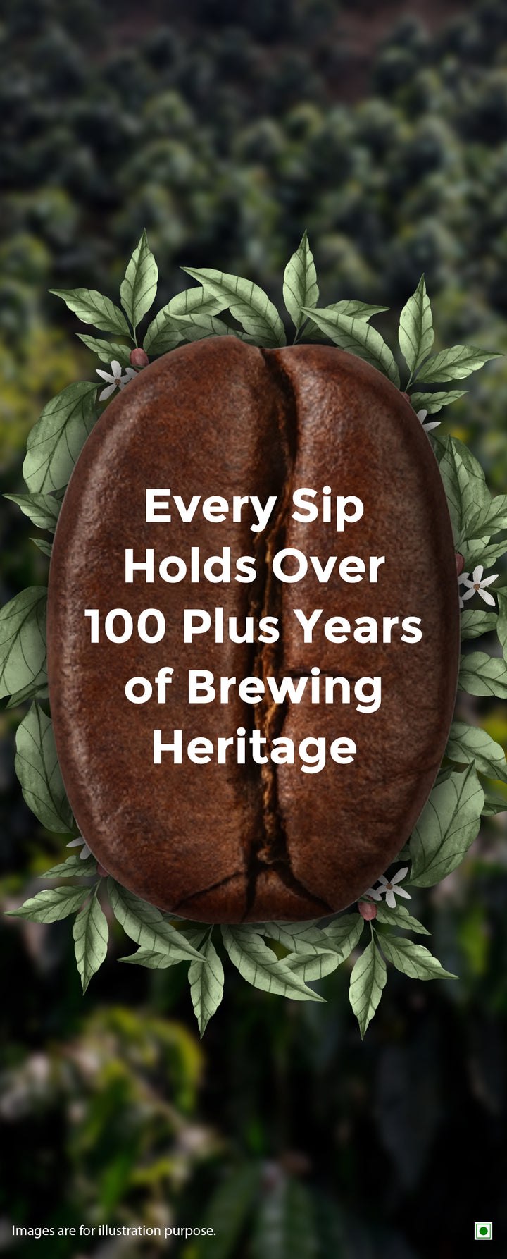 Buy Dark Roast Filter Coffee Online in India | Sonnets by Tata Coffee